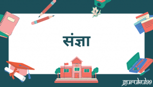 Sangya in Hindi Grammar Easy to Learn With Us - Gurukul99